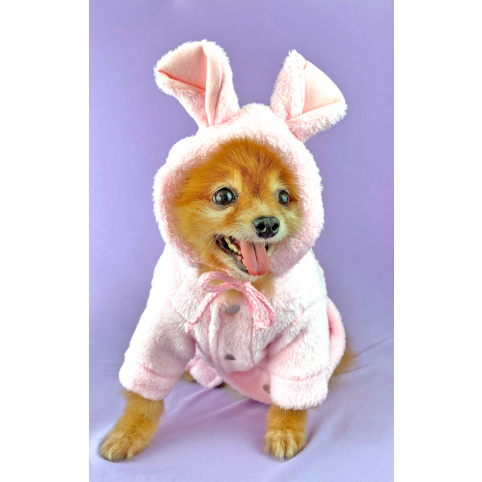 Casaco My Baby | Pet Elegante